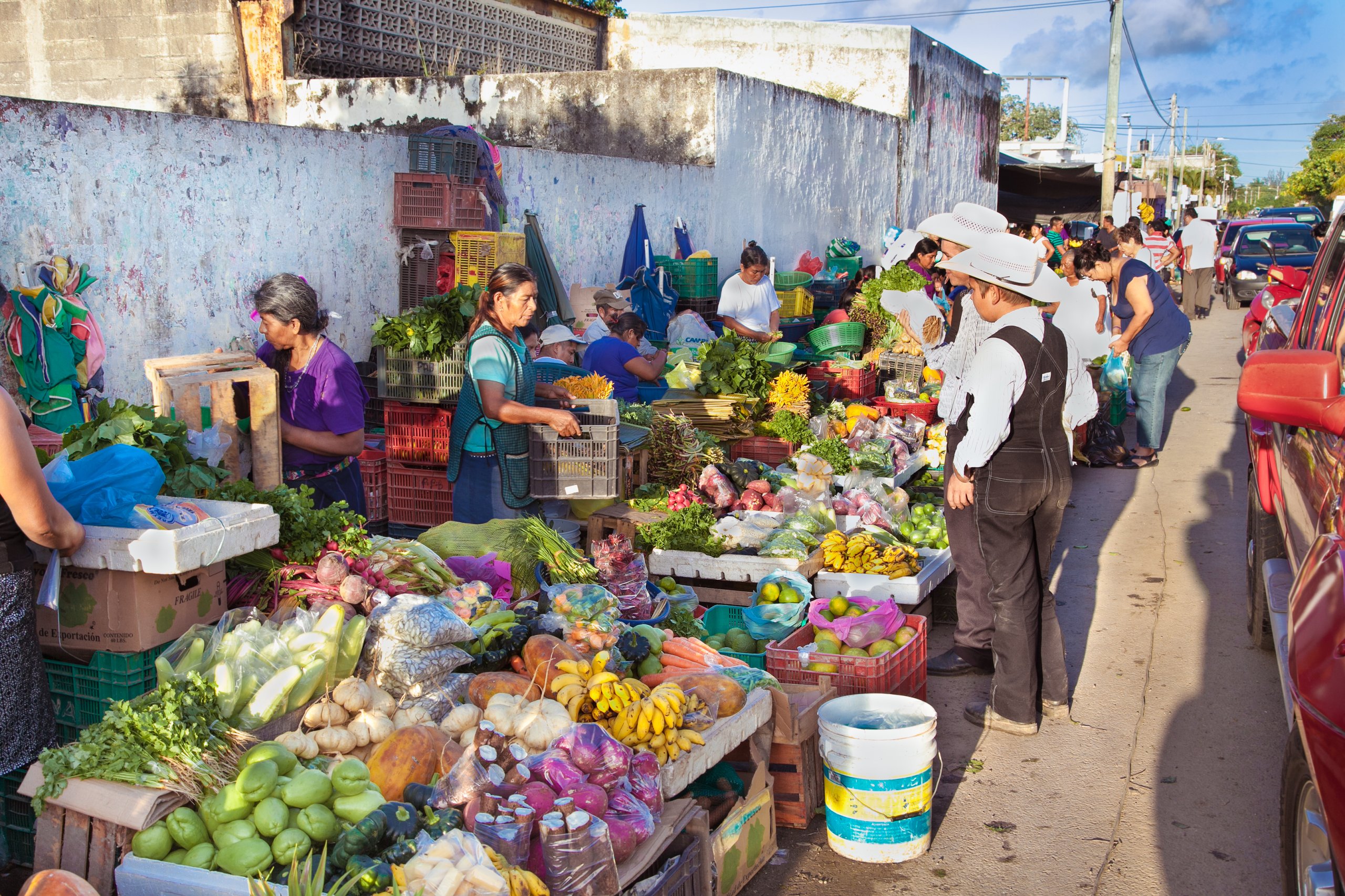Why cities should care about the UN Food Systems Summit - foodactioncities