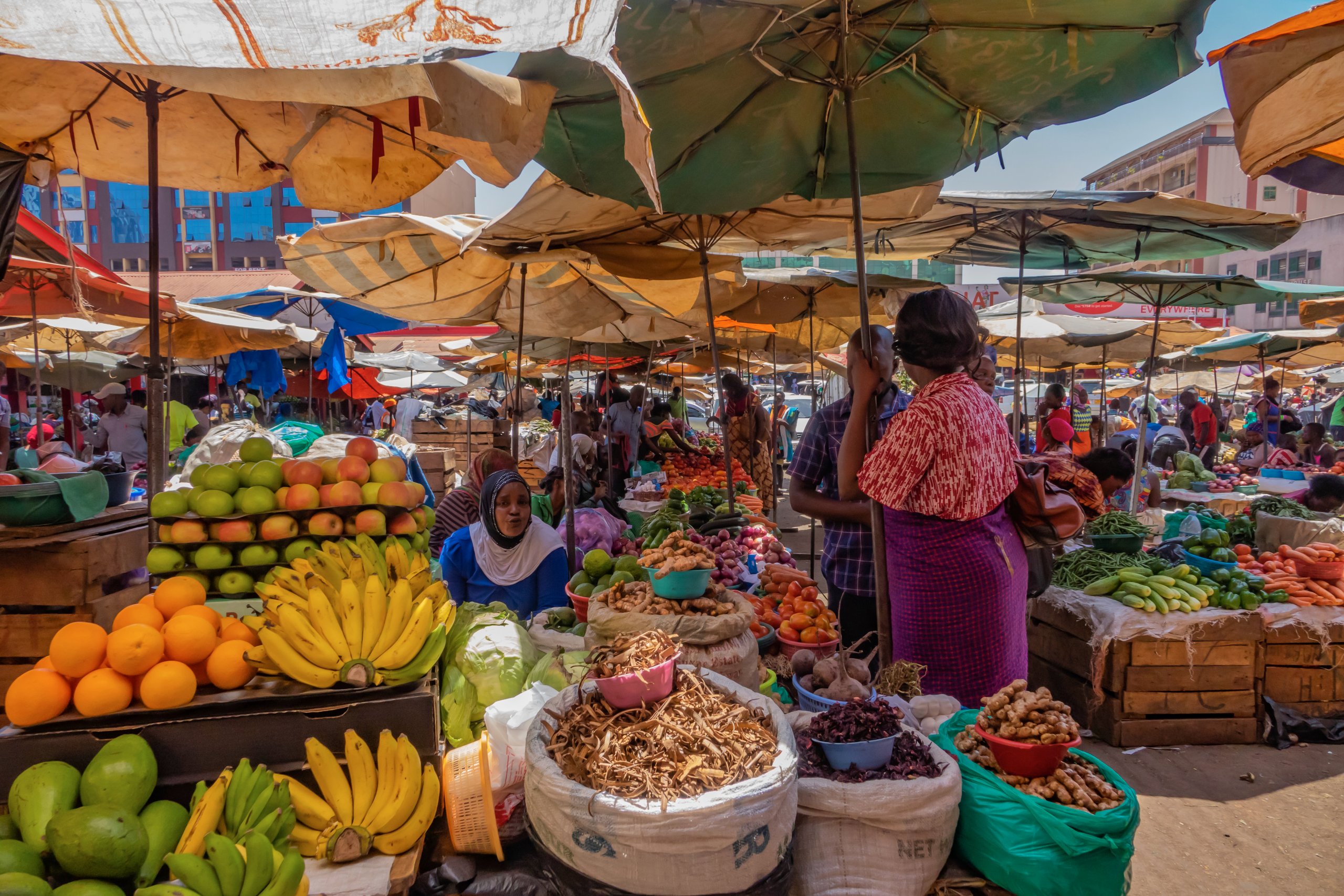 Leveraging political commitments to strengthen nutrition governance in ...